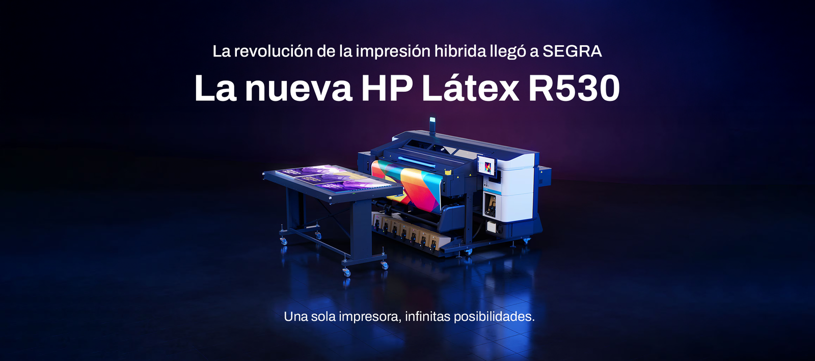 Segra | Expertos en plotter – Servicios Especializados de Graficación ...